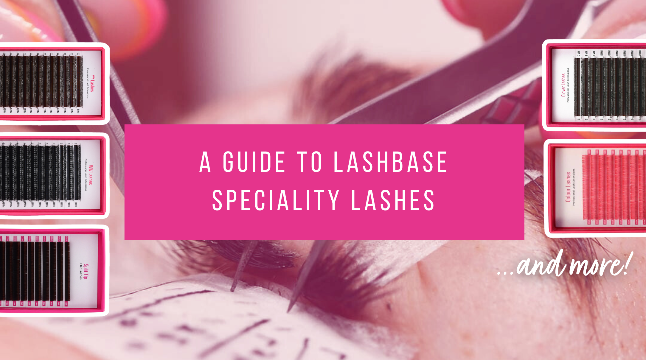 A Guide to LashBase Speciality Lashes | LashBase Inc