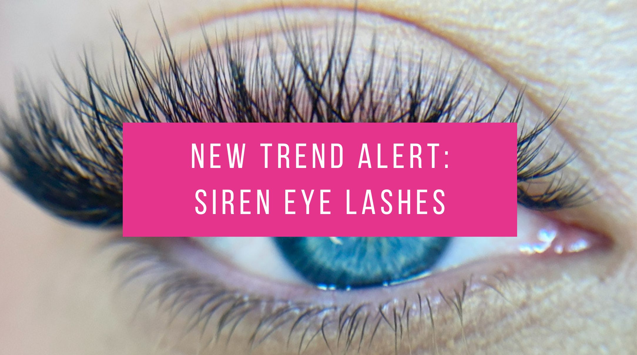 New Trend Alert: Siren Eye Lashes | LashBase Inc