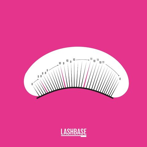 A Guide to Eye Shapes, Lash Mapping and Curls | LashBase Inc