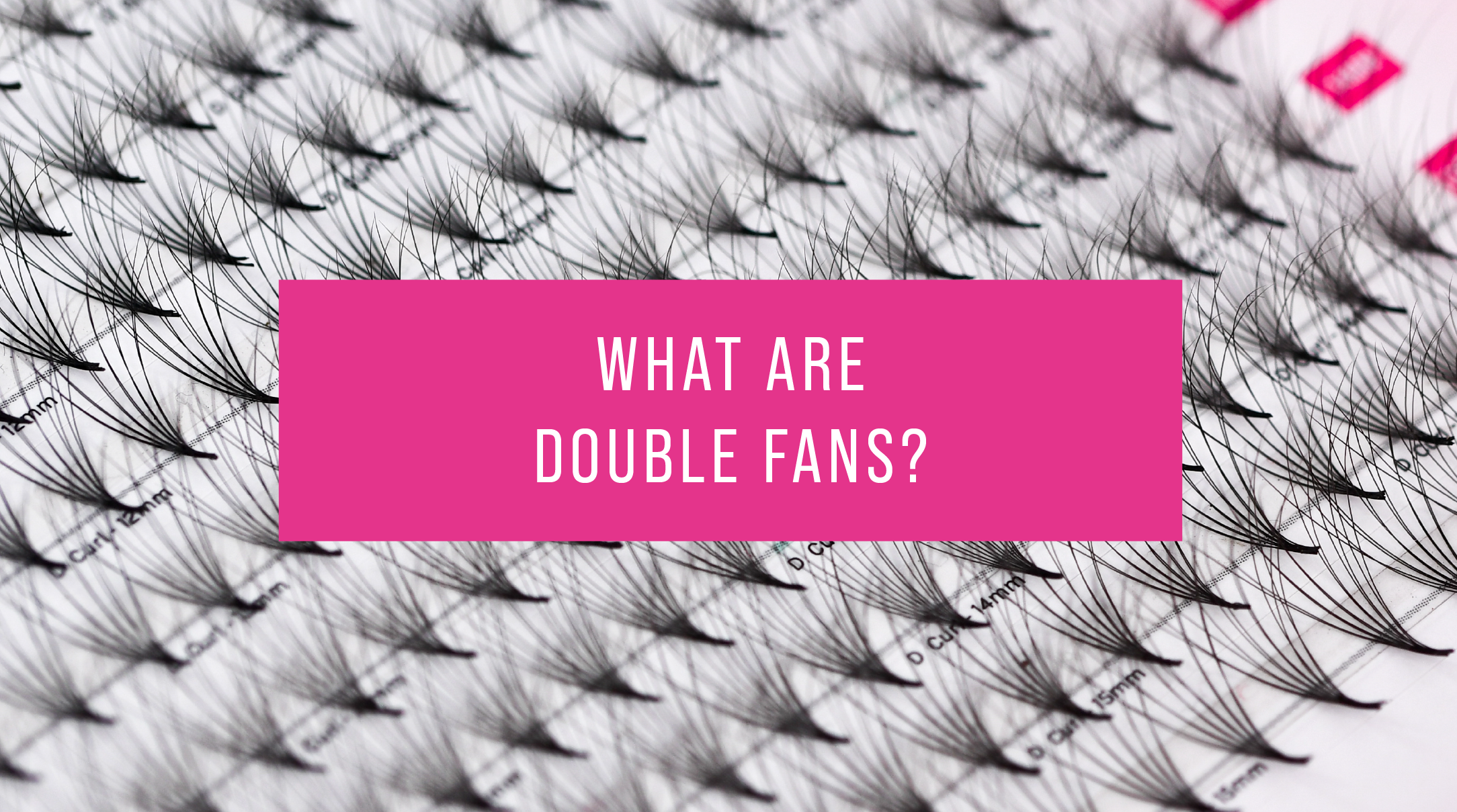 What are Double Fans? | LashBase Inc
