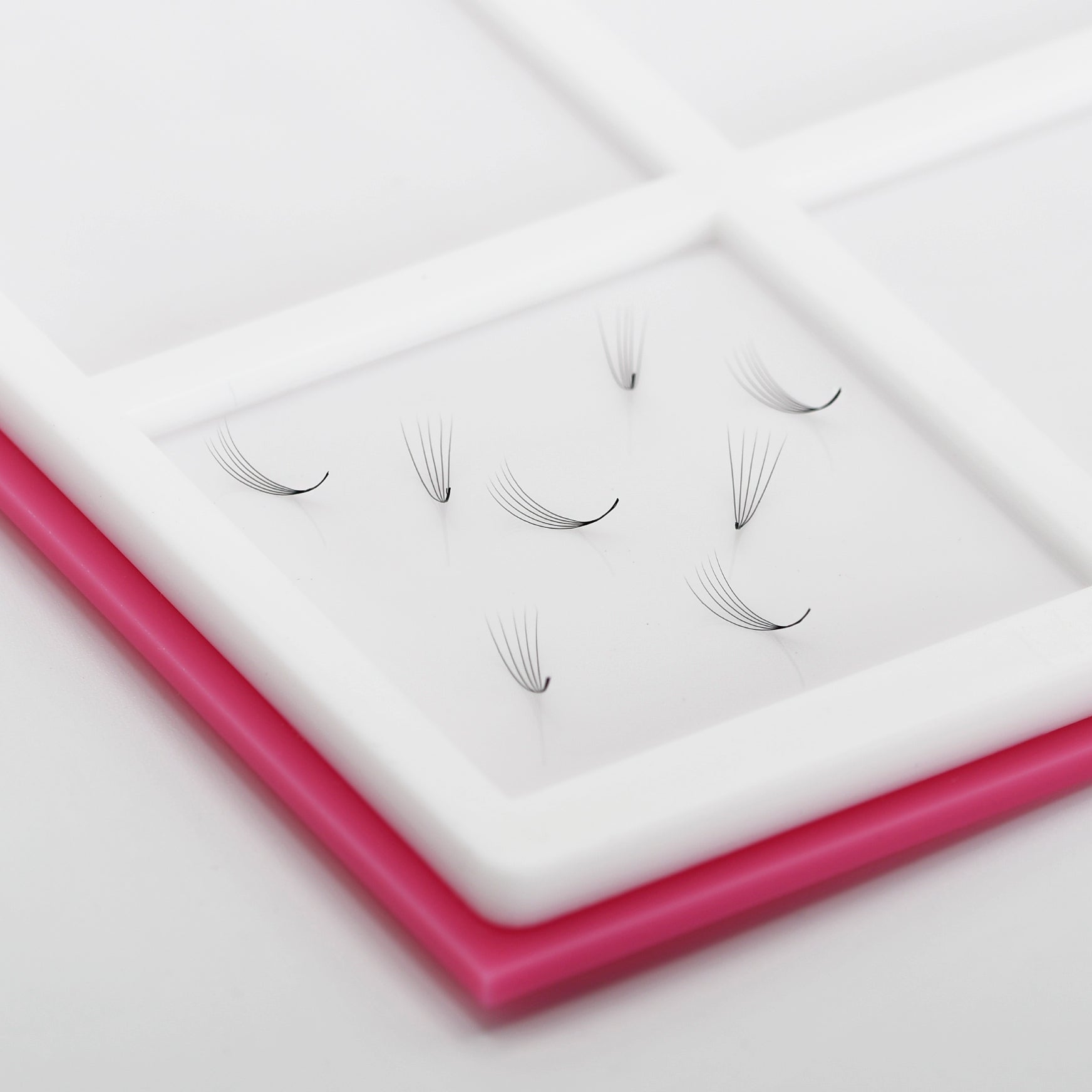 Pro Made Lash Stand with Lid– LashBase Inc