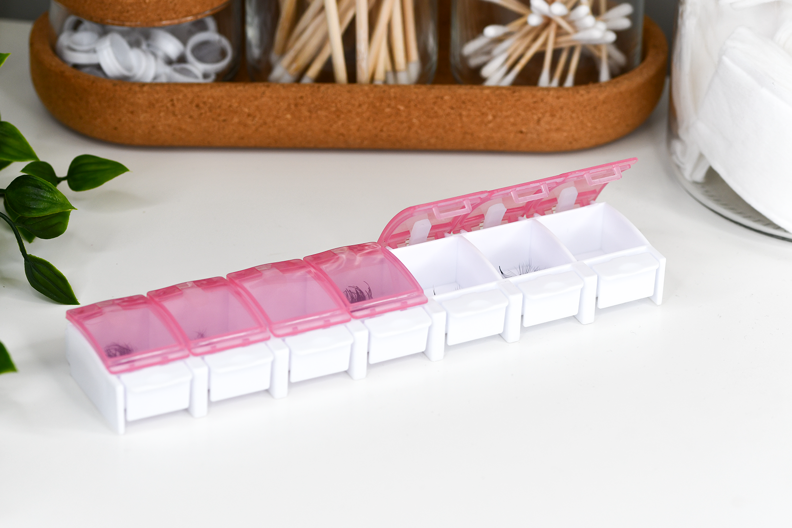 Pro Made Fan Storage– LashBase Inc